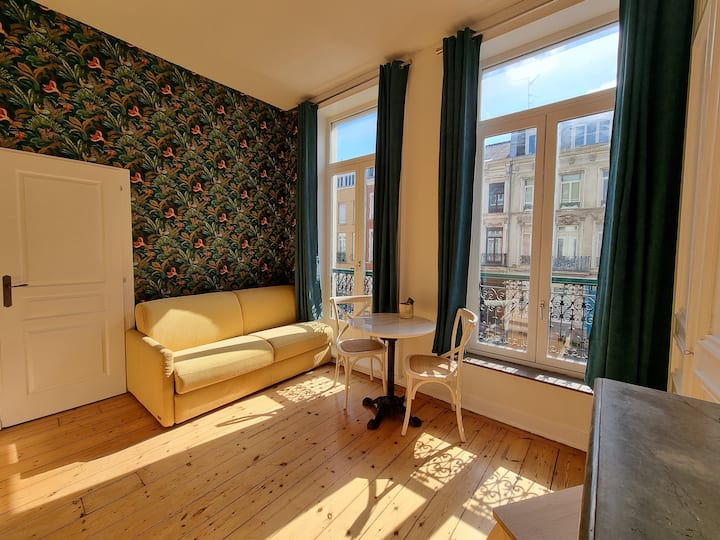 Studio Privé Indépendant Maximilien, Beaux-arts - Lille