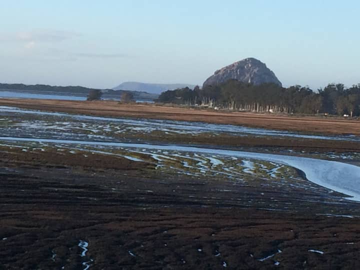 Near The Bay .8 Mi Private Studio - Morro Bay, CA