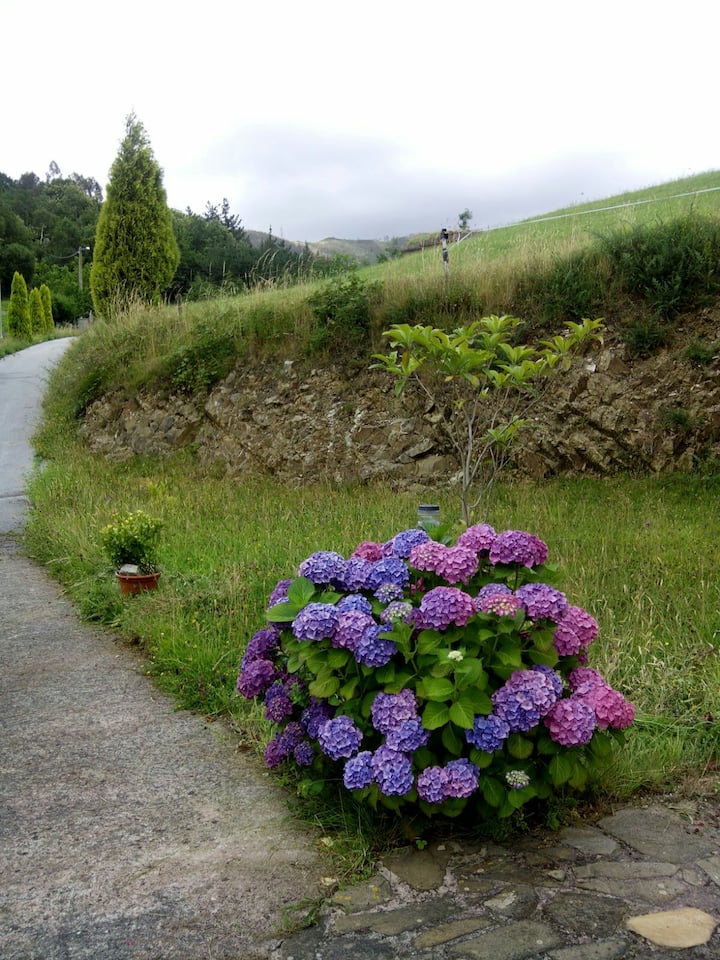 La Casina-el Picaratin - Luarca