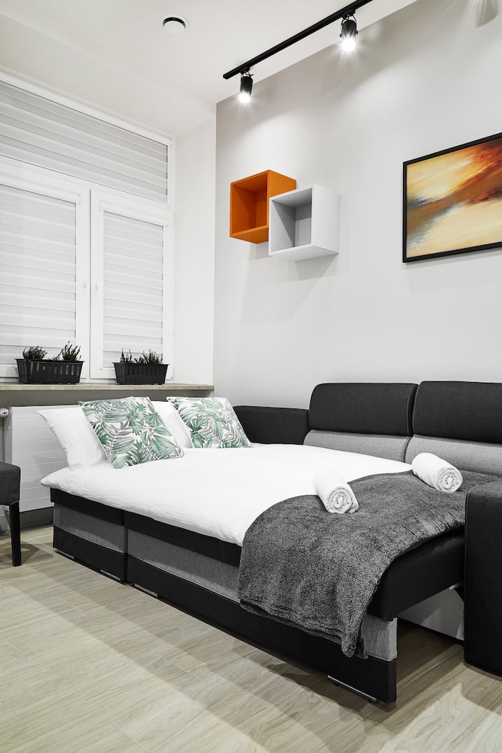 Business Trip Lux Studio - Superfast Internet (E) - Krakov