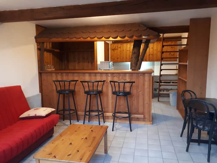 Appartement Une Chambre Près De L'onu Et Du Cern - Saint-Genis-Pouilly