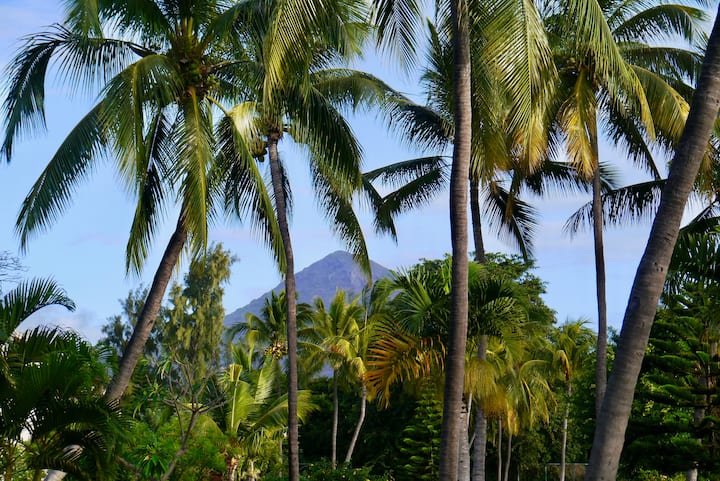 Sunny Apartment Along The Sandy And Long Beach - Mauritius