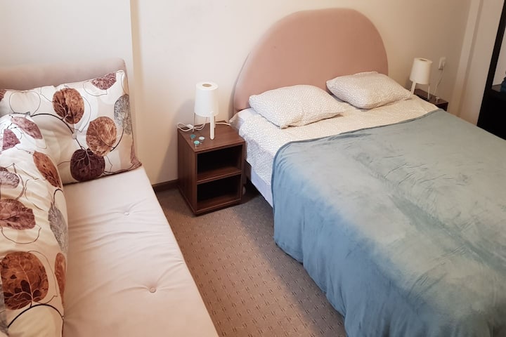 Dobricin Konak, Apartman 202 - Kopaonik