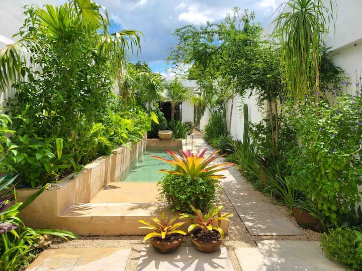 Interior Designer’s Centro Merida Retreat - Mérida