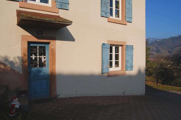 Gîte Campagnard 40 M2 Le Bretzel - Munster