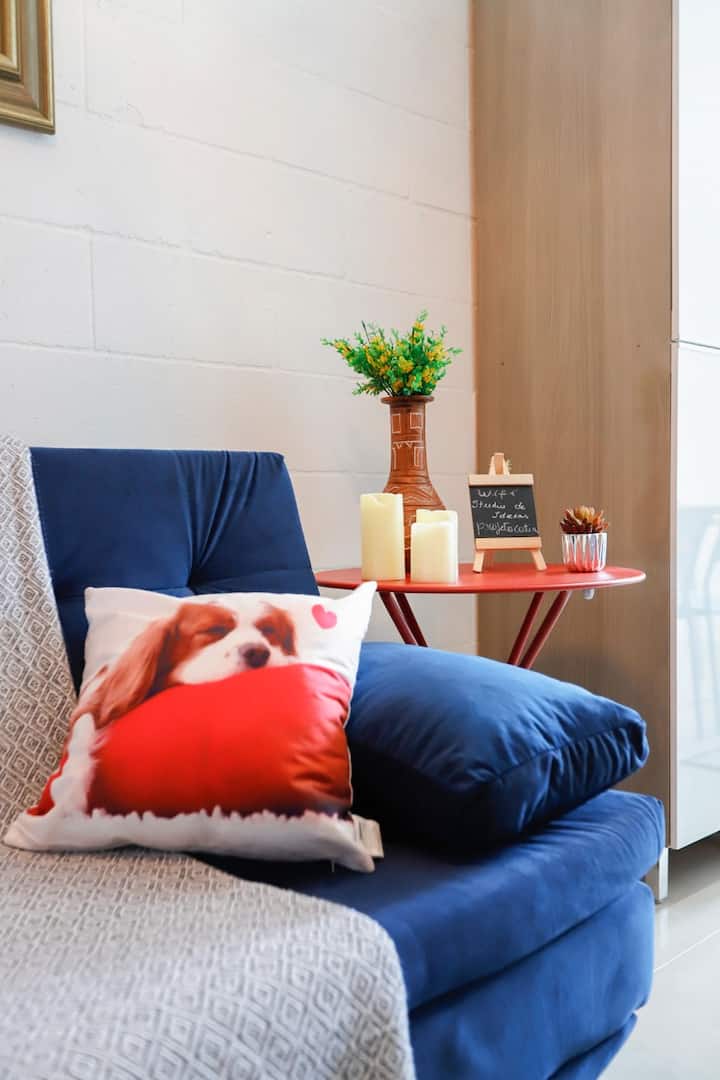 Centrosul/arenafloripa/folianópolis/ufsc/aeroporto - Florianópolis