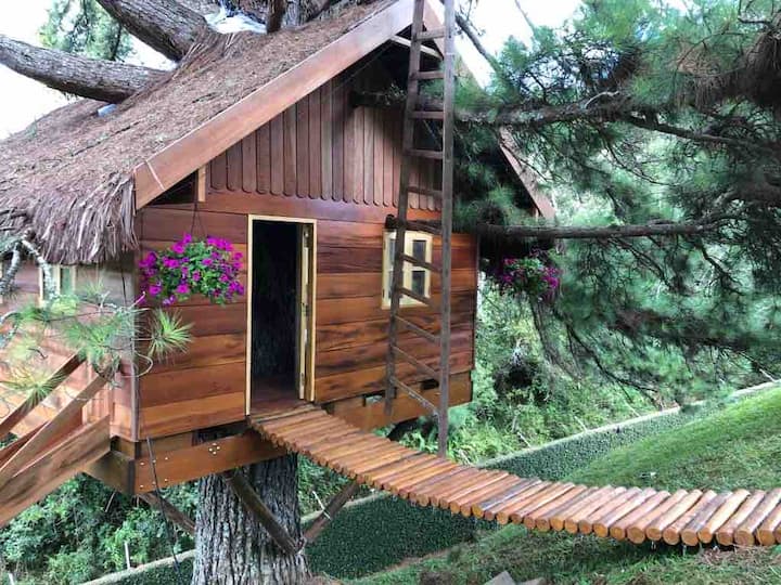 Casa No Meio Da Natureza - Campos do Jordão