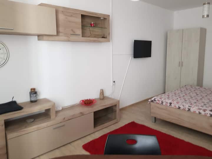 Garsonieră Spațioasă La Casă Centrul Istoric - Brașov