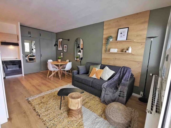 Superbe Studio Au Pied Des Pistes Vue Montagne. - Laruns