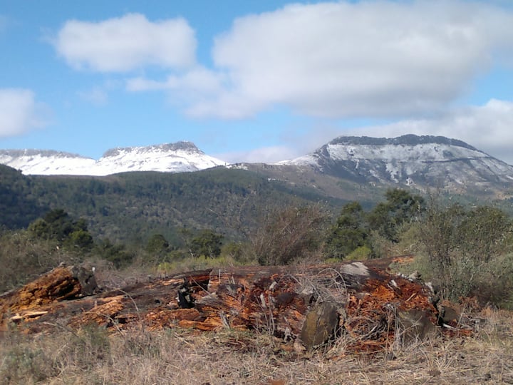Prairie Wind Southern Cross - Hogsback