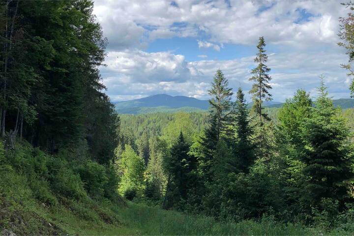 Cottage&outdoor Activity 25 Acre Land In Tremblant - Laurentides