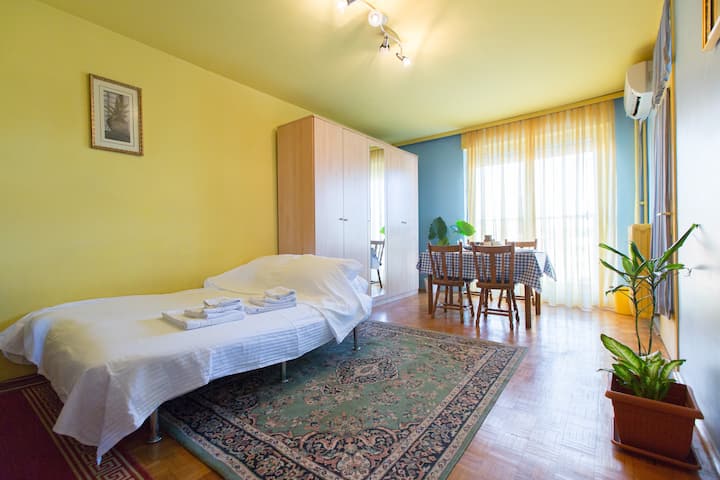 Studio 4min From Tram/streetcar/subway - Zagreb