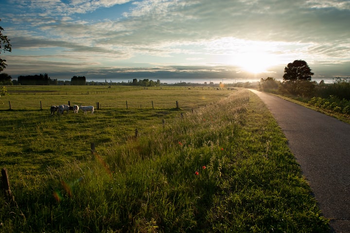 Private And Peaceful Studio - Gent