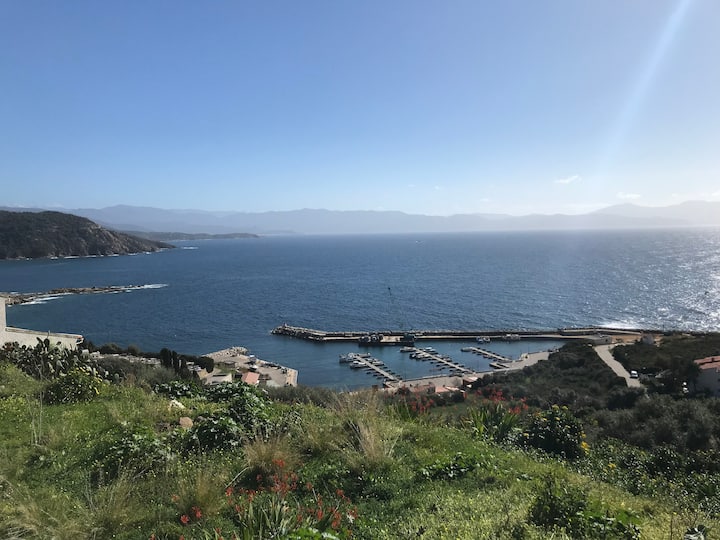 Agréable Studio Avec Vue Sur Le Port De Cargèse - Cargèse