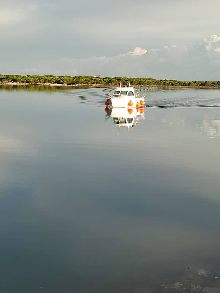 Pavillon Pour 4 Pers Aux Bords De L'eau - La Franqui