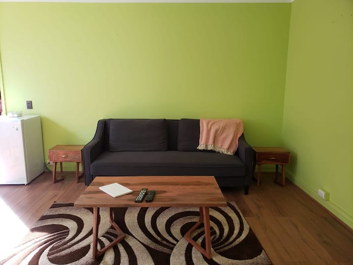 Lindo Departamento Con Excelente Ubicación. - Santiago