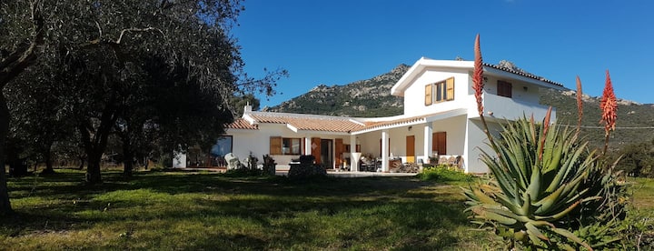 In Costa Smeralda Immerso Nella Natura Con Oliveto - Olbia