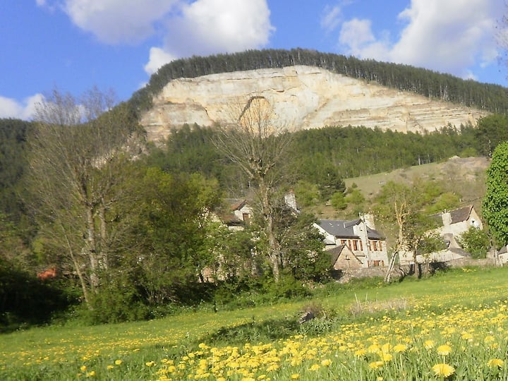 Petite Maison Bleue à La Campagne - Parc national des Cévennes