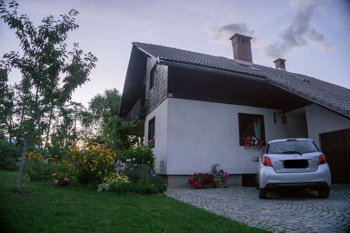 Apartment With Great Surroundings - Bled