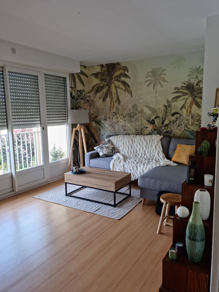 Appart Cosy, Calme, à Deux Pas Du Centre-ville - Brive-la-Gaillarde