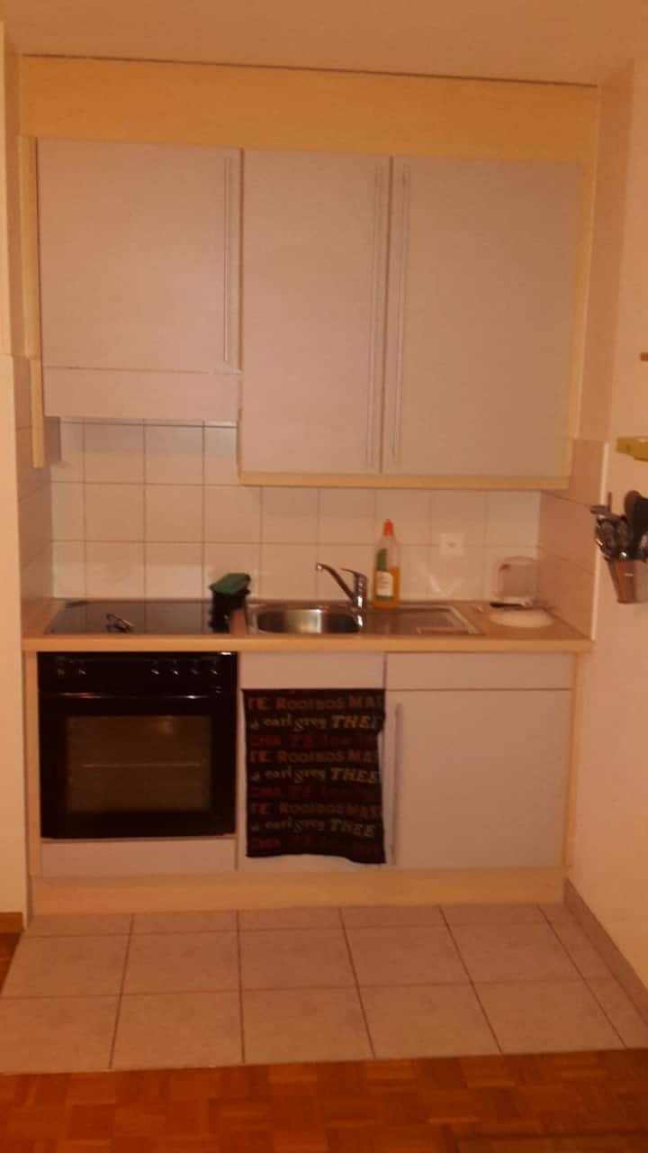 Studio Agréable Et Lumineux - Lausanne