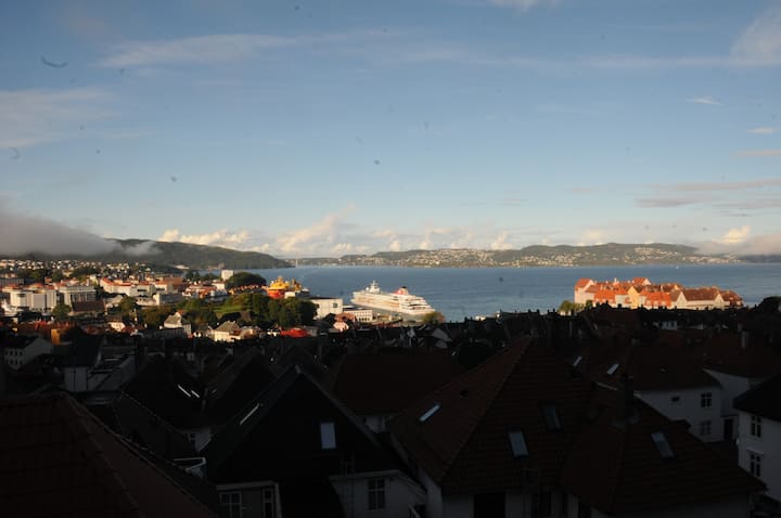 Incredible View - Bergen