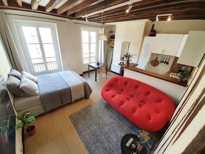 Cozy Parisian Studio In The Heart Of The City - Paris