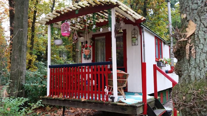 Cute Tiny House In The Woods - Arnhem