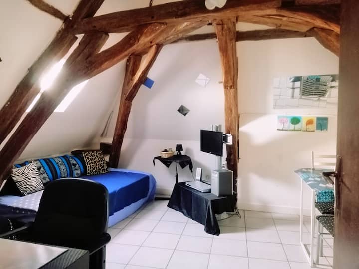 Chambre Double à Sens à 1 Heure De Paris En Train - Sens