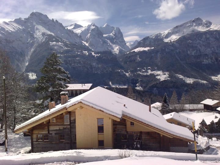 Top Floor Apartment With Amazing Views - Hasliberg