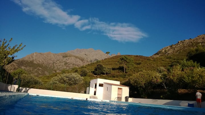 Deux Pièces Avec Piscine Près De Calvi - Forêt de Bonifatu