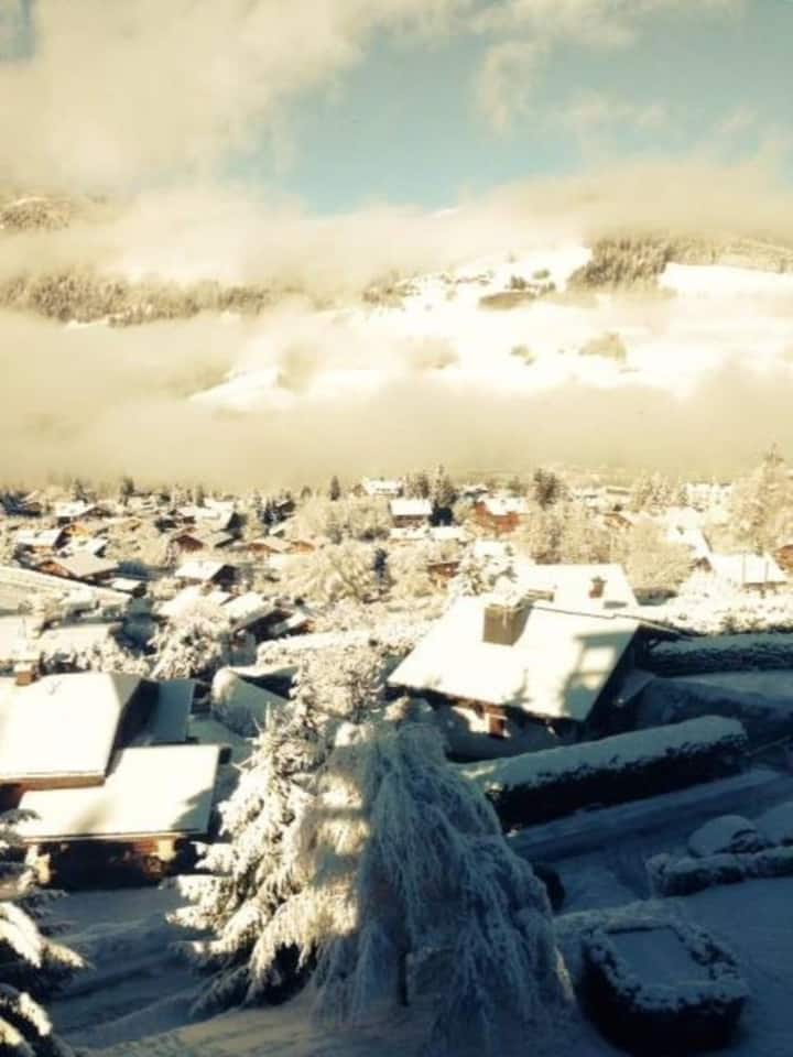 Appartement 4 Pièces Rochebrune Megève - Megève