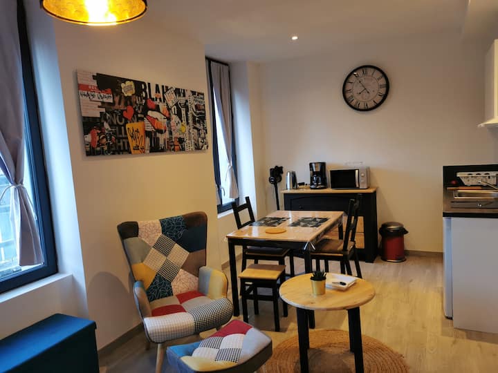 Hyper Centre St Etienne : Joli Petit Studio ❤ - Saint-Étienne