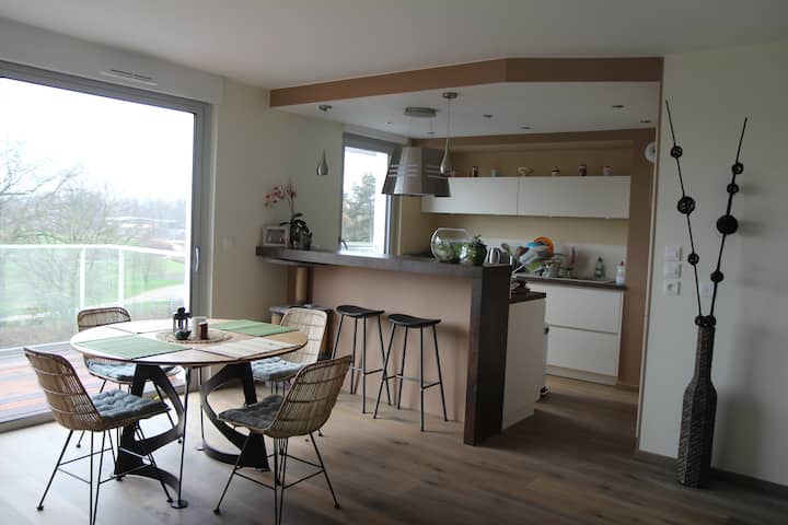 Chambre Strasbourg - Jardin 2 Rives - Kehl