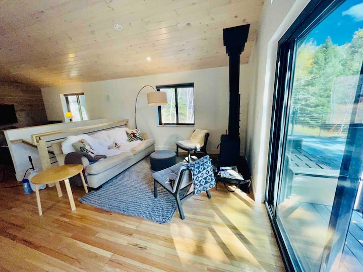 Modern Chalet, Ideal Location, 3br, Steps To Bus! - Vail, CO