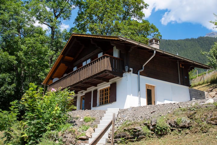Cozy Hidden Mountain Chalet - Grindelwald