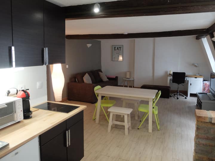 Grand Studio Dans Le Centre Historique D'orléans - Olivet