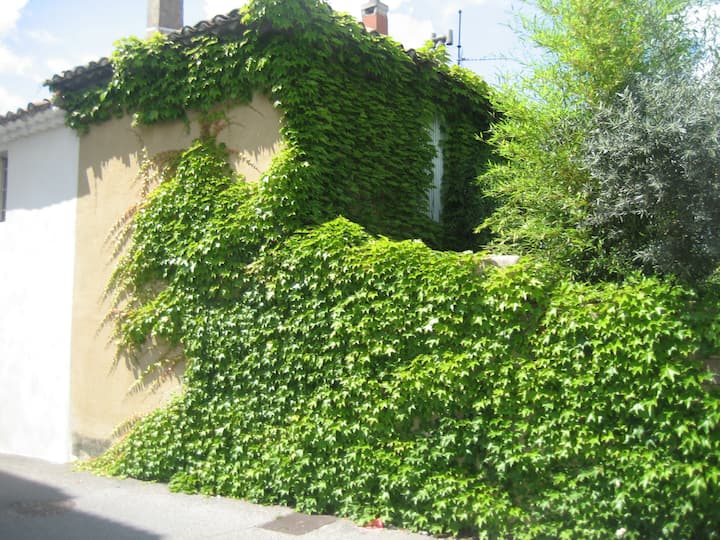 Duplex Sur Jardin A Proximité D'avignon - Sorgues