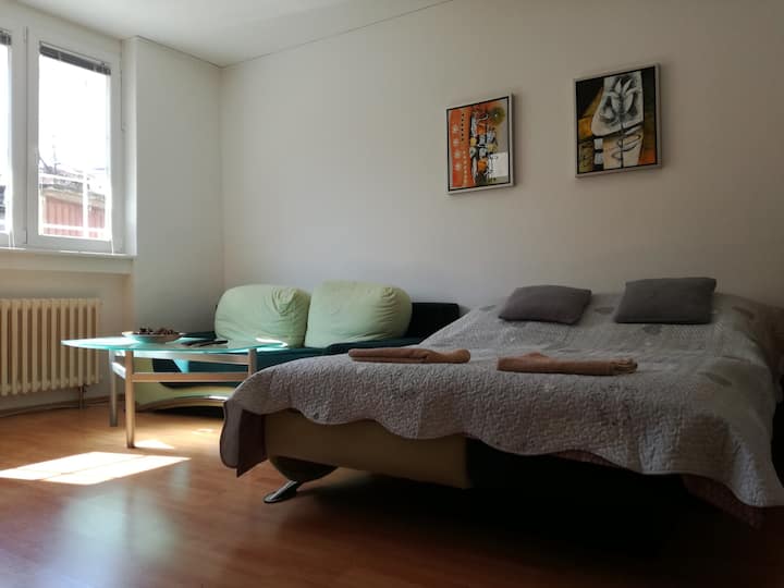 Tulip Apartment - Sarajevo Center - Sarajevo