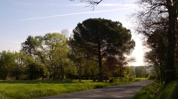 Mas Au Cœur Du Gers - Auch