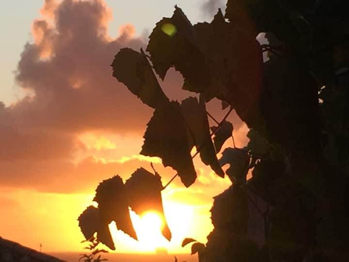 Vite&limone , Maison Dans Résidence Calme Vue Mer - Ajaccio