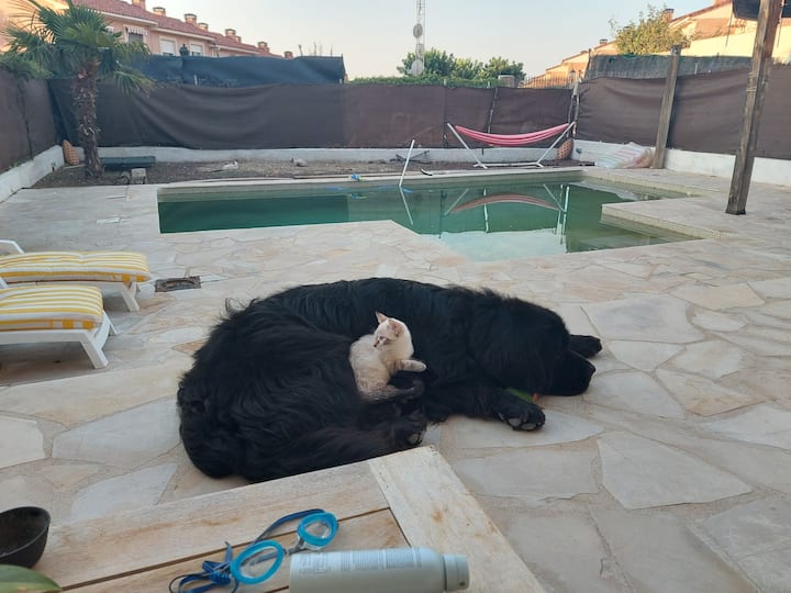 Agradable Villa Con Piscina Y Chimenea - Los Olivos