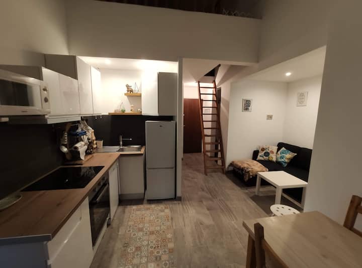 Appartement Spacieux De 30 M2 à La Foux D'allos. - Allos