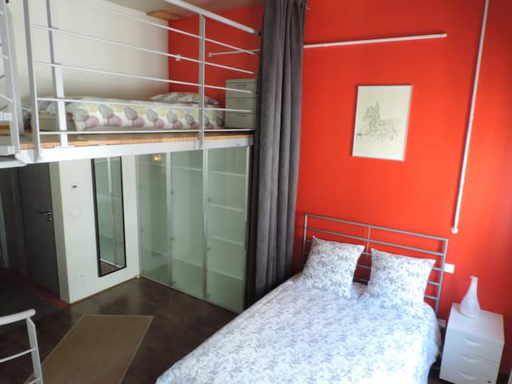 Triplex Avec Terrasse Au Centre De Strasbourg - Robertsau