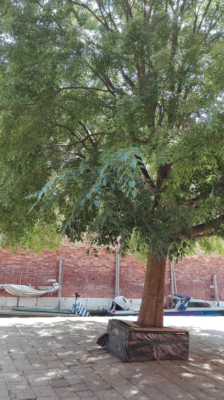 Apartment Gorne - Lido di Venezia