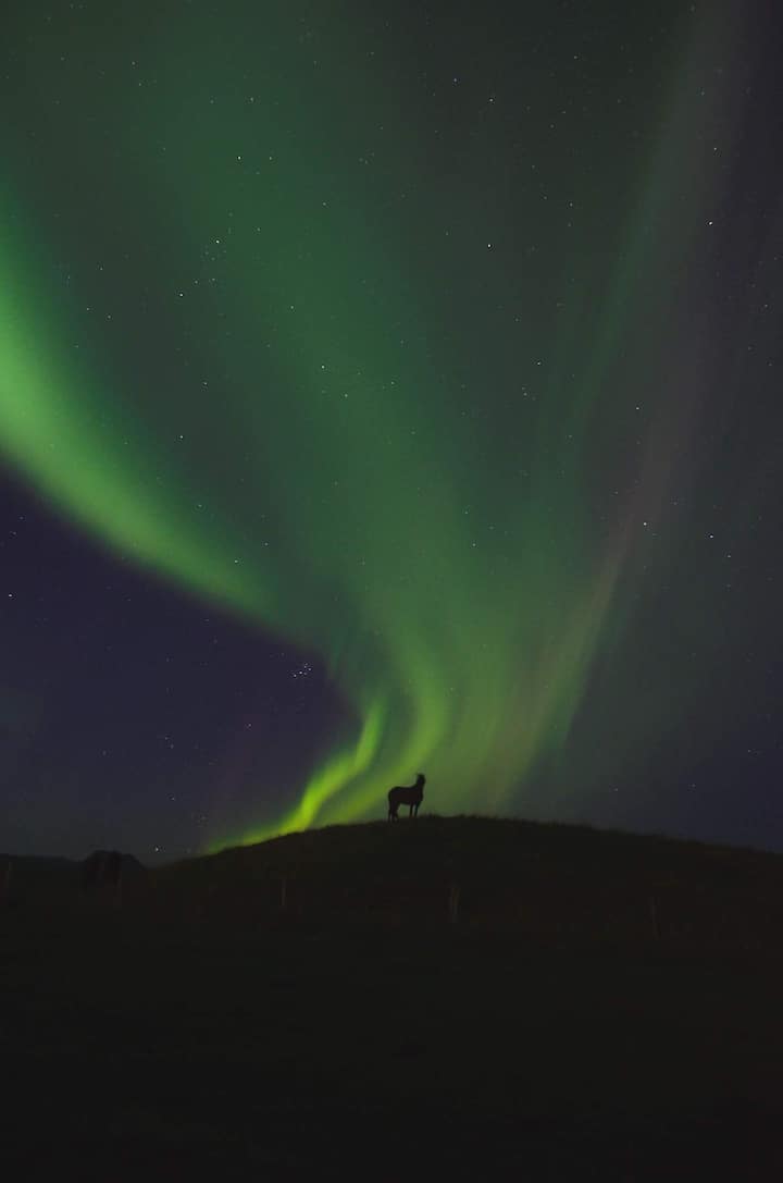 Traditional Icelandic Cabin 2 - Islandia