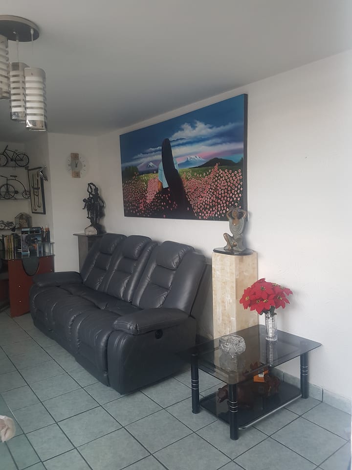Depto. Amueblado, Sanitizado, Aeropuerto/foro Sol - Morelos