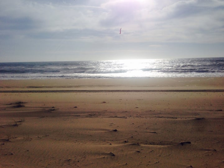 Montauk Oceanview - Montauk, NY