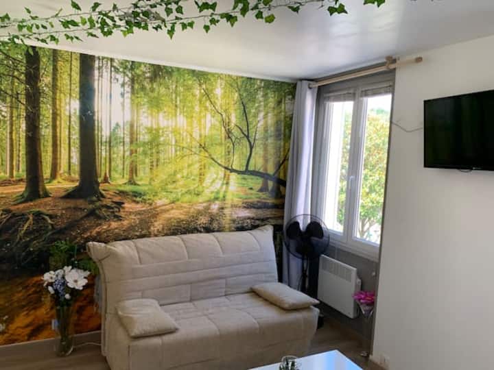 ⭐️Wonderful & Cozy⭐️ Cdg Asterix Paris Parc Expo - Roissy-en-France