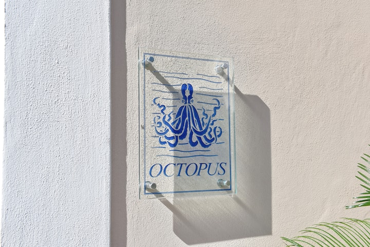 Octopus - Castellabate